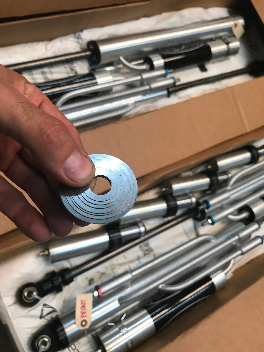 IMG_3621_1024x.jpg?v=1585109726